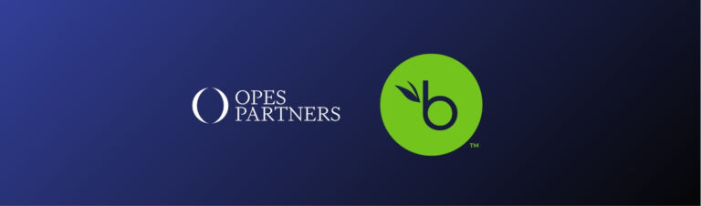 Your Trusted It Partner Tribe It Support New Zealand